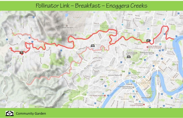 Pollinator Link Display – Paten Park Native Nursery | Pollinator Link
