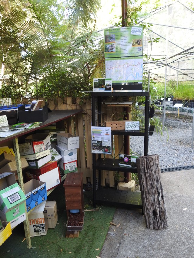 Pollinator Link Display – Paten Park Native Nursery | Pollinator Link