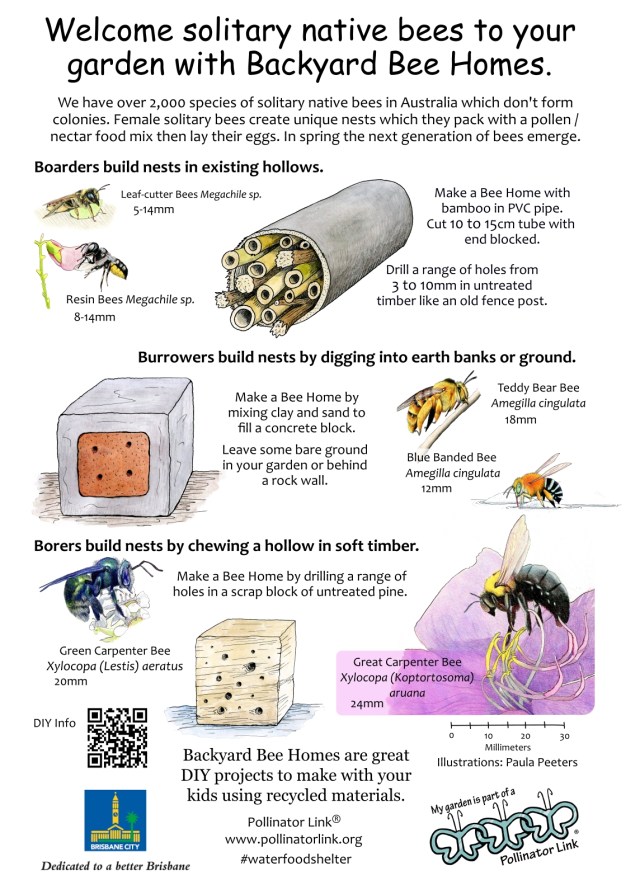 Nature Rangers make Backyard Bee Homes | Pollinator Link