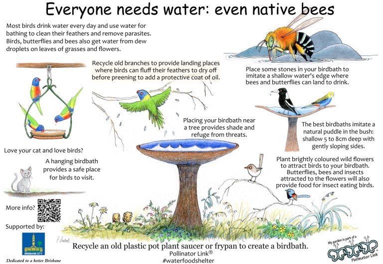 Provide Water for Wildlife | Pollinator Link