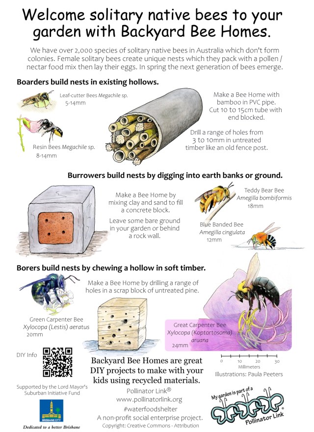 Build a Backyard Bee Home | Pollinator Link