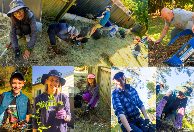 Creating a Wildflower Walk | Pollinator Link