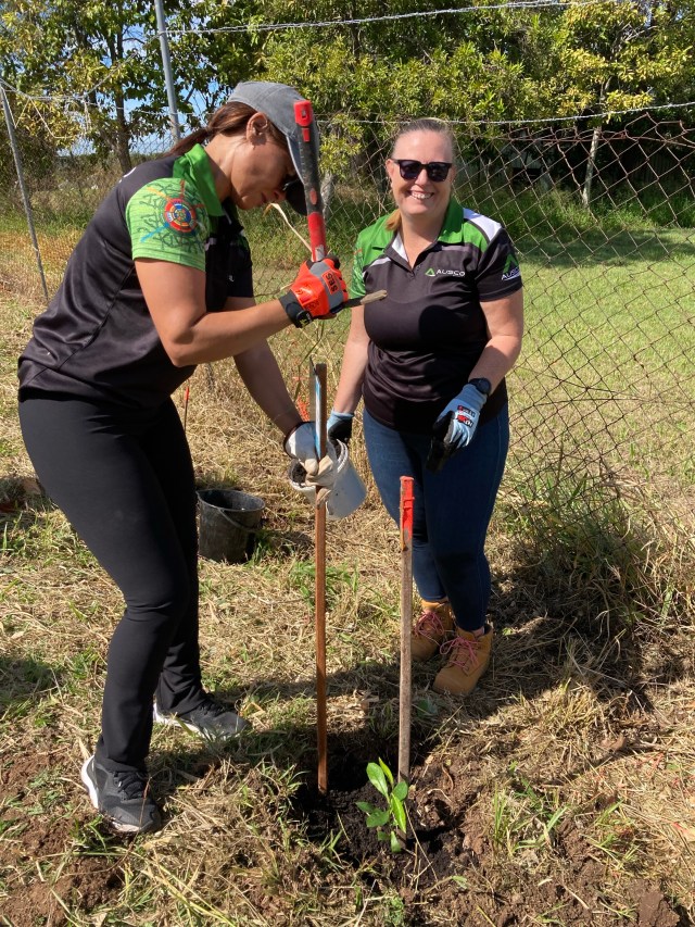 Pollinator Link | Bringing birds, butterflies and bees to backyards.